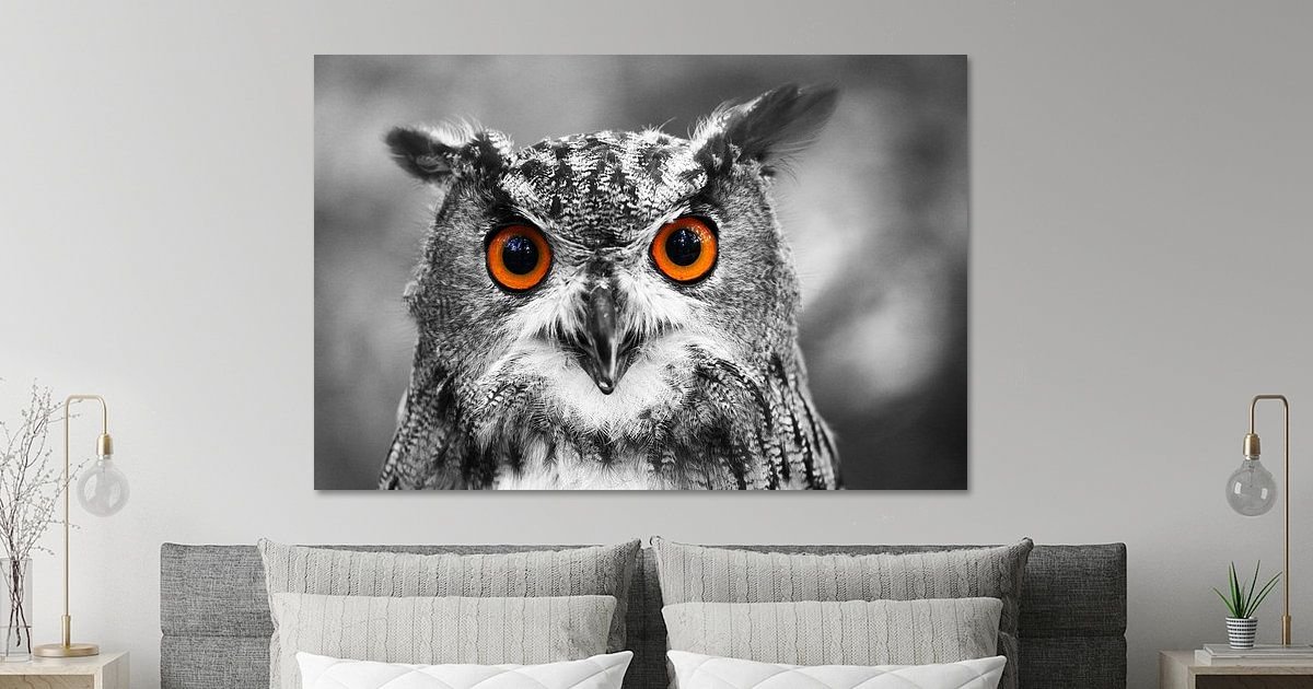 Arend uil portret van Marcel Schauer op canvas, behang en meer
