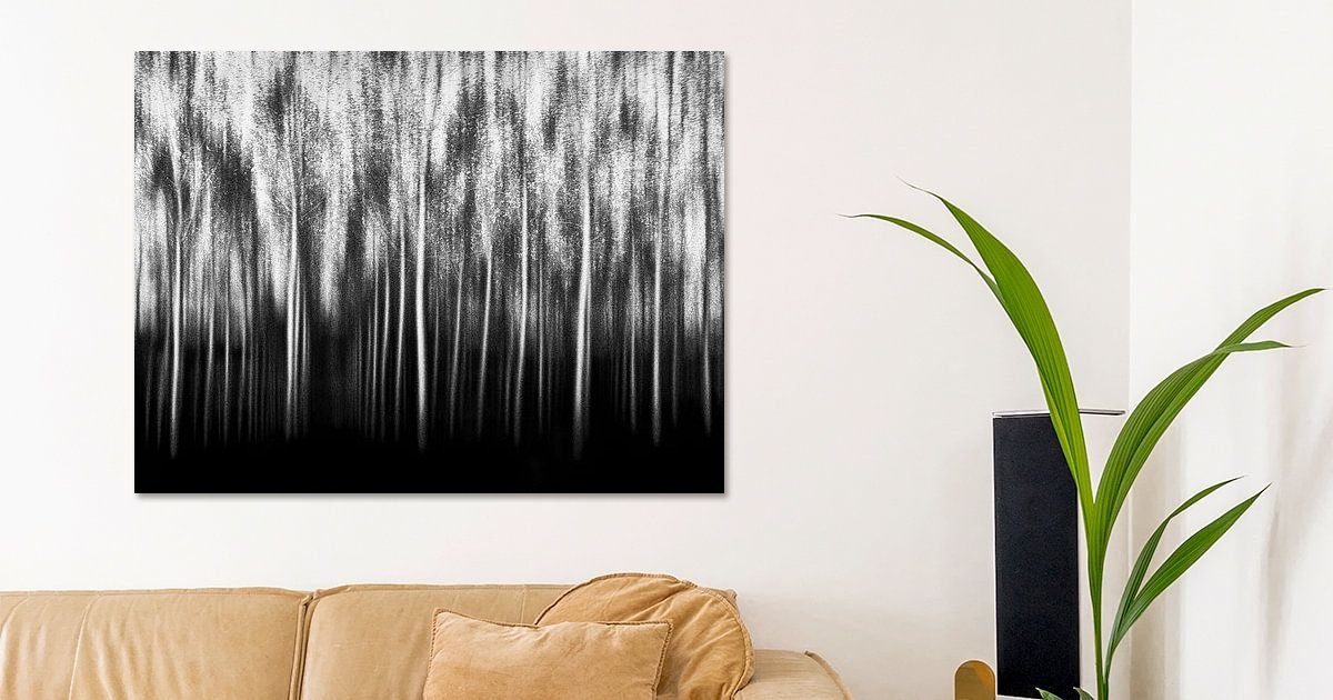 Populier bos zwart wit van Frank Andree op canvas, behang en meer