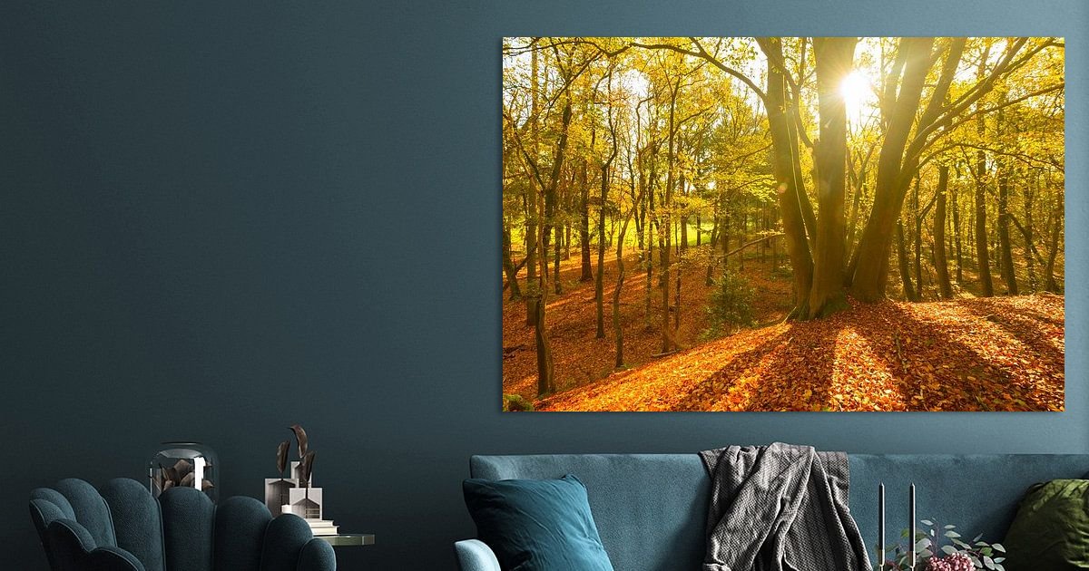 Beuken in een herfstbos van Sjoerd van der Wal Fotografie op canvas ...