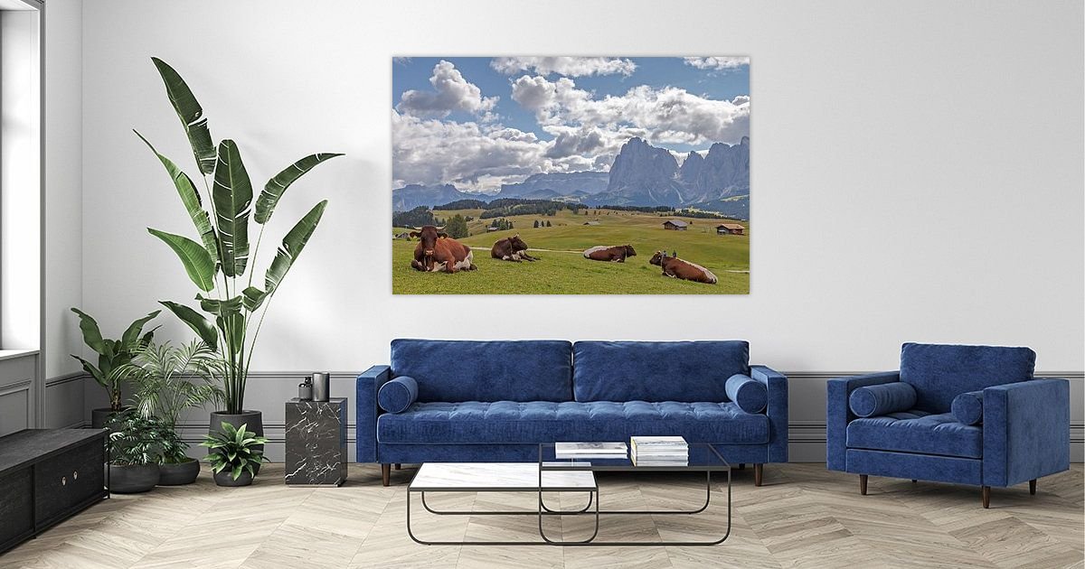 Koeien in een groene alpenweide van Menno Schaefer op canvas, behang en ...
