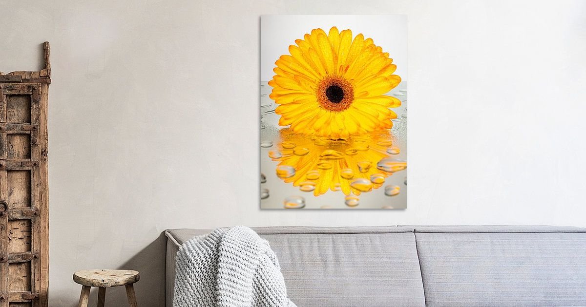 Gele - oranje Gerbera met druppels met spiegeling van Marjolijn van den ...
