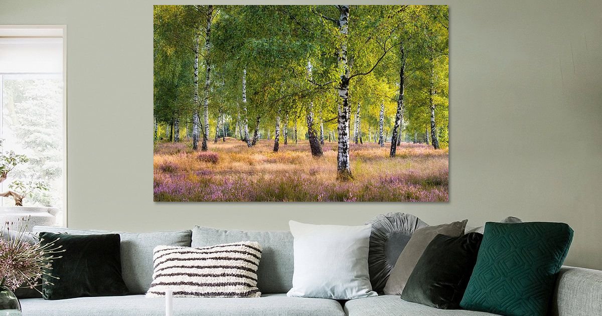 Heide en berken in het avondlicht van Daniela Beyer op canvas, behang ...