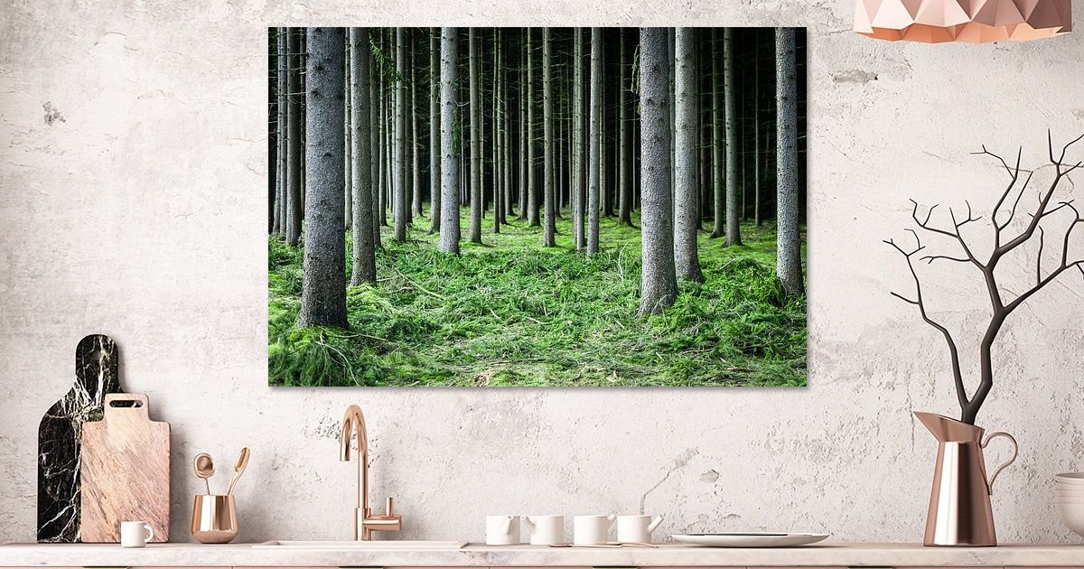 Naaldbomen in het naaldbos van Robert Ruidl op canvas, behang en meer