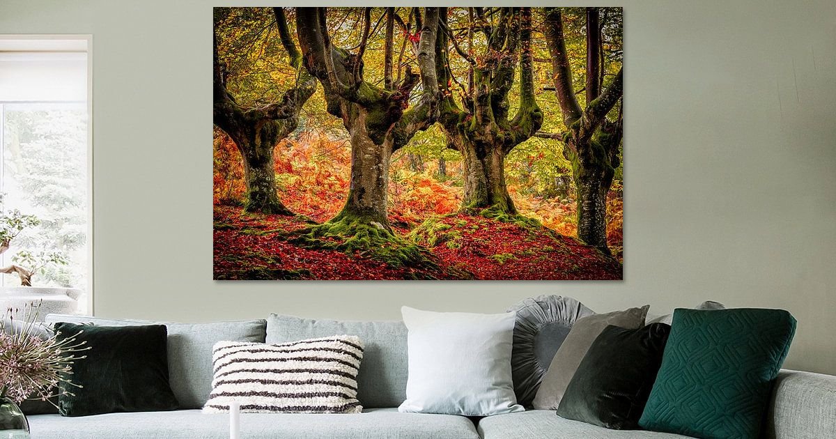 De Vier Beuken van Lars van de Goor op canvas, behang en meer