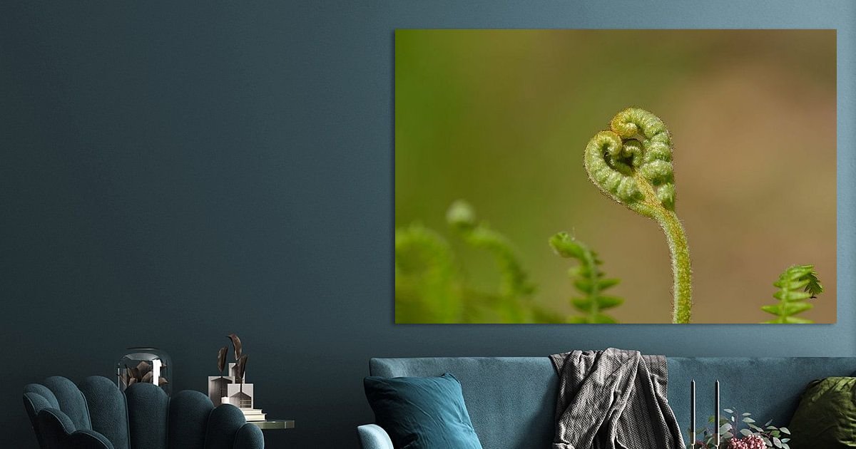 Mooie Scheut (plant) kunst op canvas, behang en meer