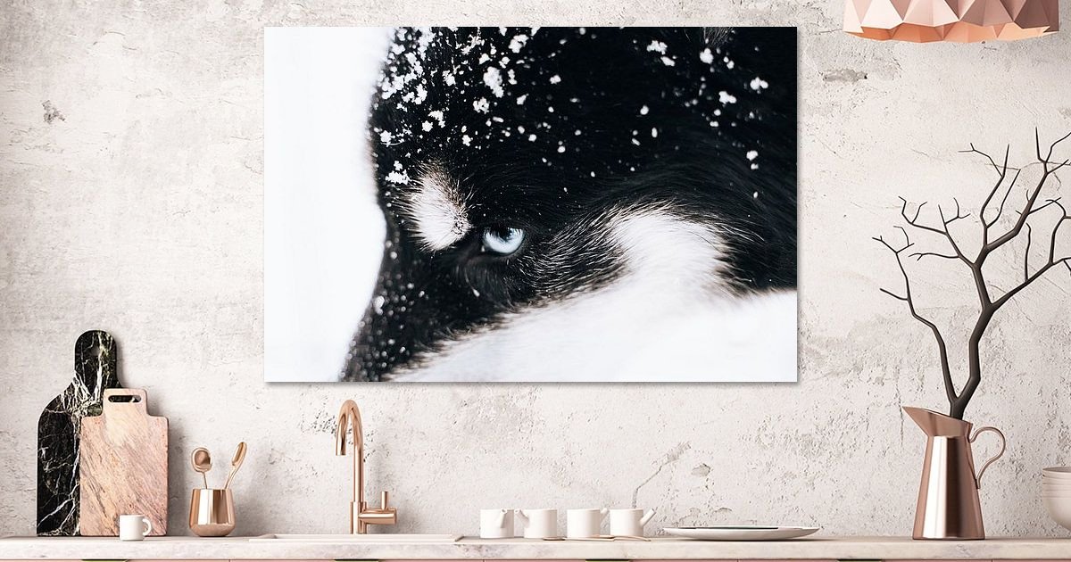 Husky Portrait - Nana van fromkevin op canvas, behang en meer