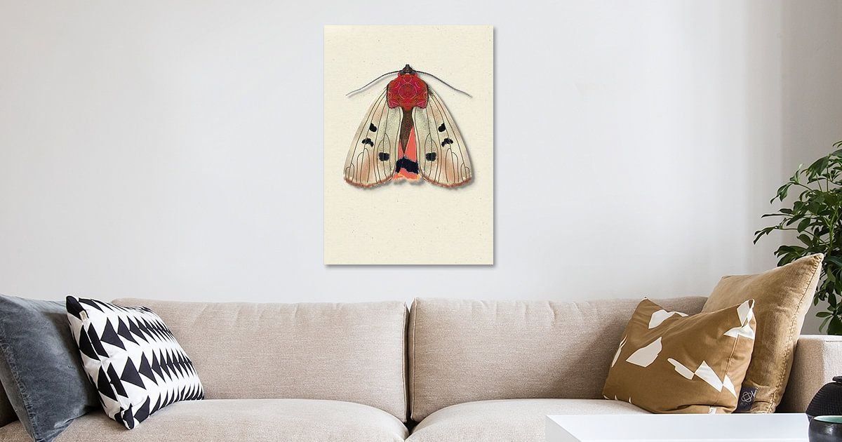 Prints uit de collectie van Angela Peters