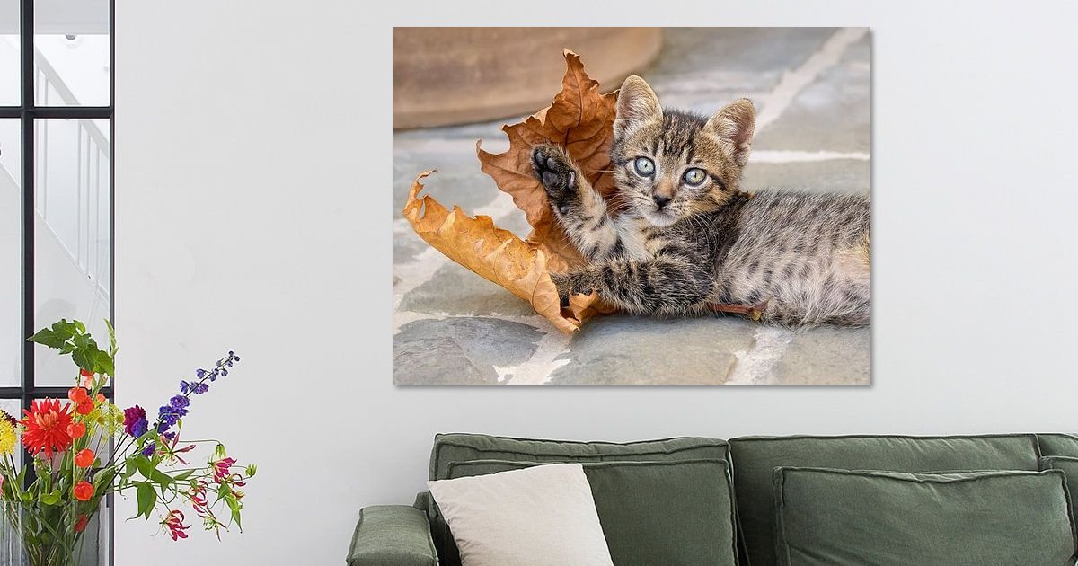 Schattig poesje en een blad van Katho Menden op canvas, behang en meer