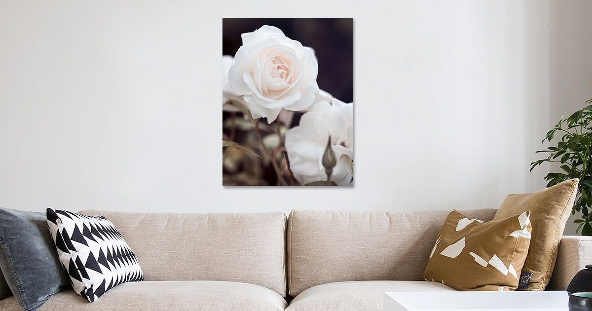 Rozen van Valerie Boehlen op canvas, behang en meer