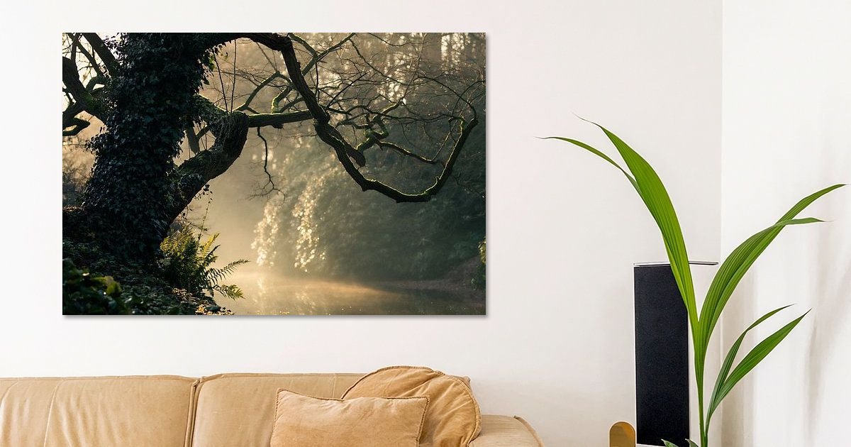 tentakels van Rob Willemsen photography op canvas, behang en meer