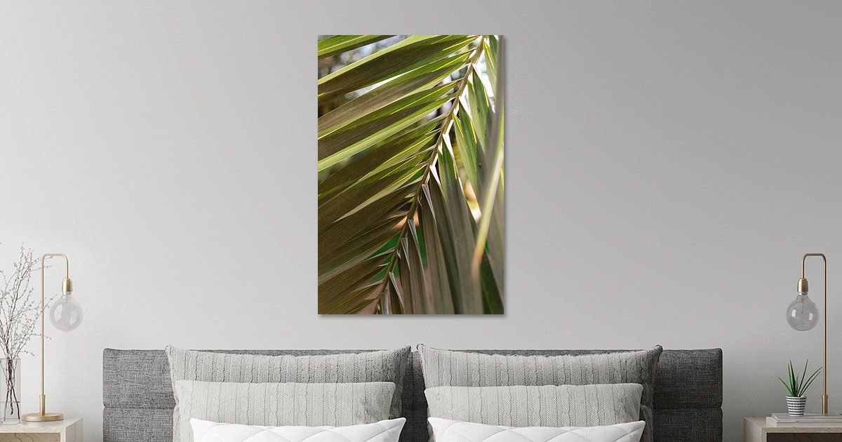 Botanisch print van groen palmblad van Sanne Dost op canvas, behang en meer