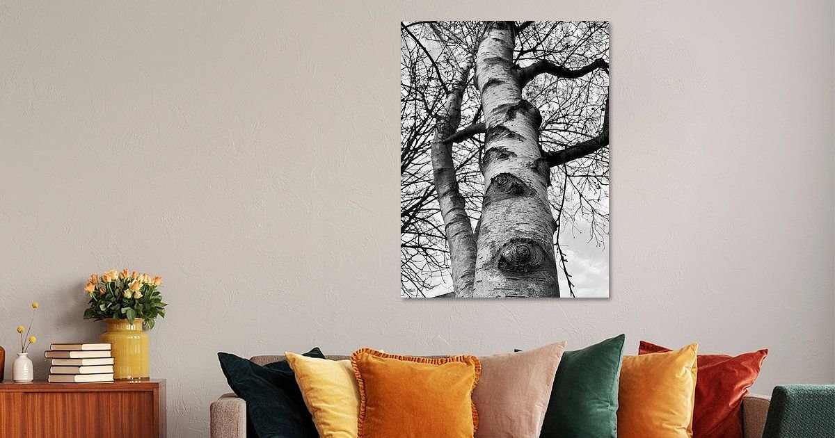 Berk, boomstam in zwart-wit van Joyce Kuipers op canvas, behang en meer