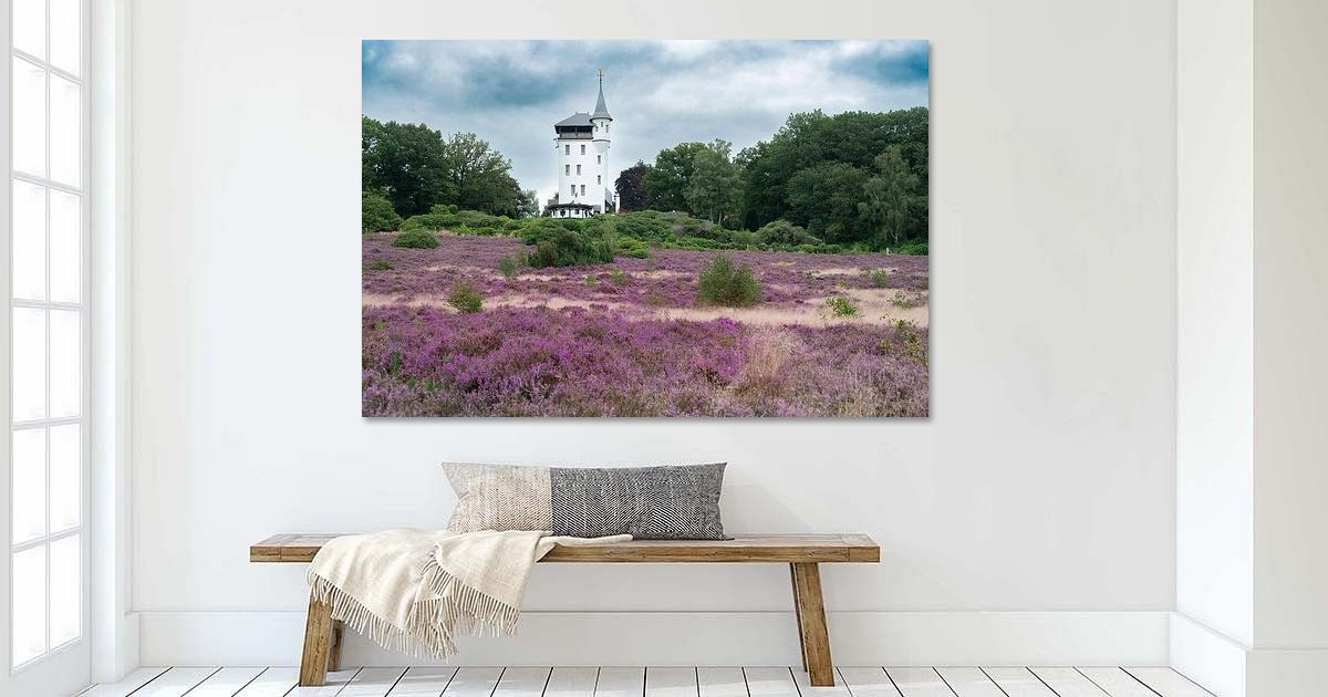 Sprengenberg op de Sallandse Heuvelrug in de zomer met bloesem van ...
