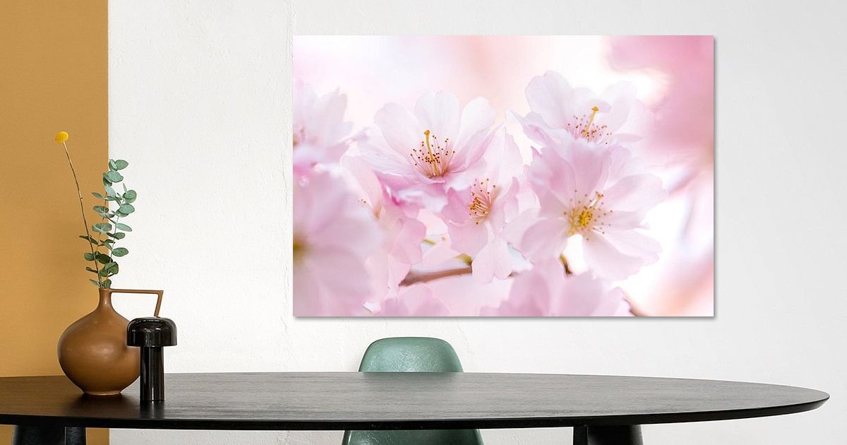 Roze bloesemtak van Bianca de Haan op canvas, behang en meer