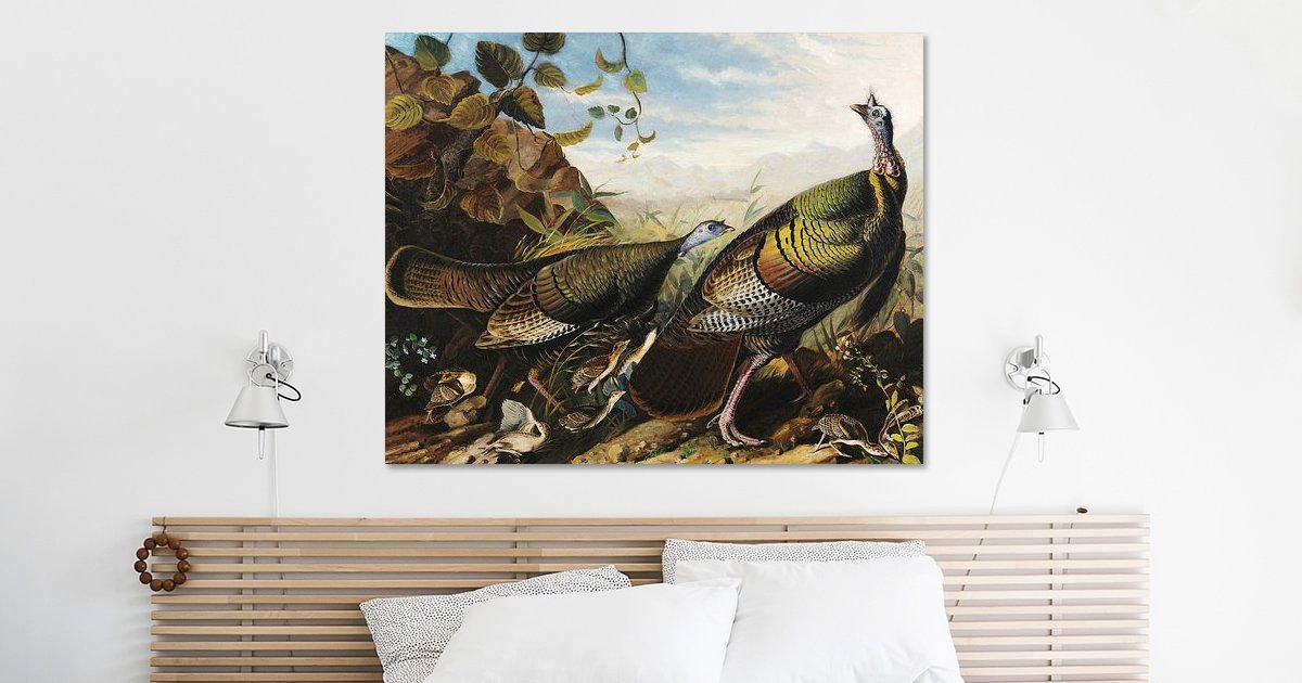 Wilde kalkoen haan, hen en jong, John James Audubon op canvas, behang ...